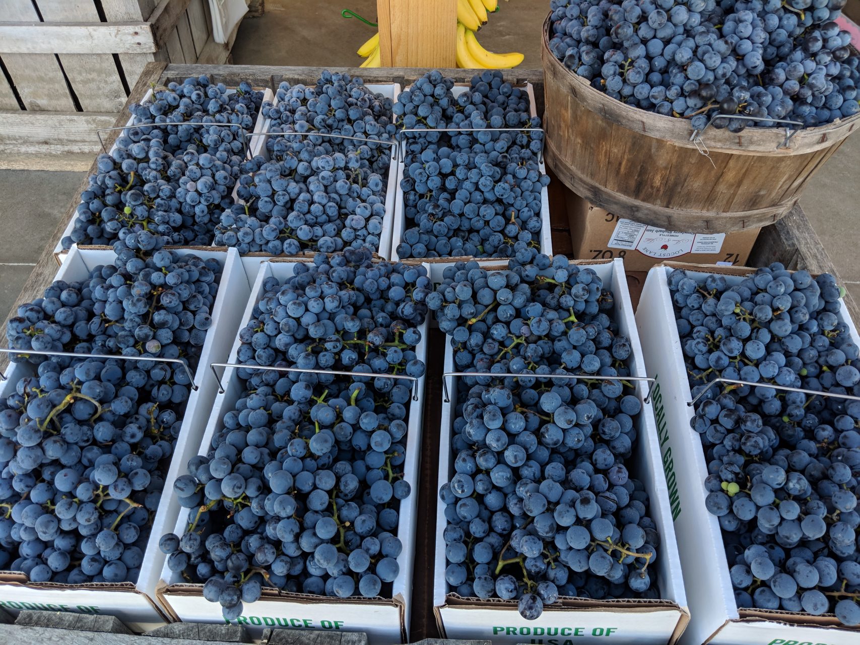 Miller's Farm Market – Delicious Fresh Produce.